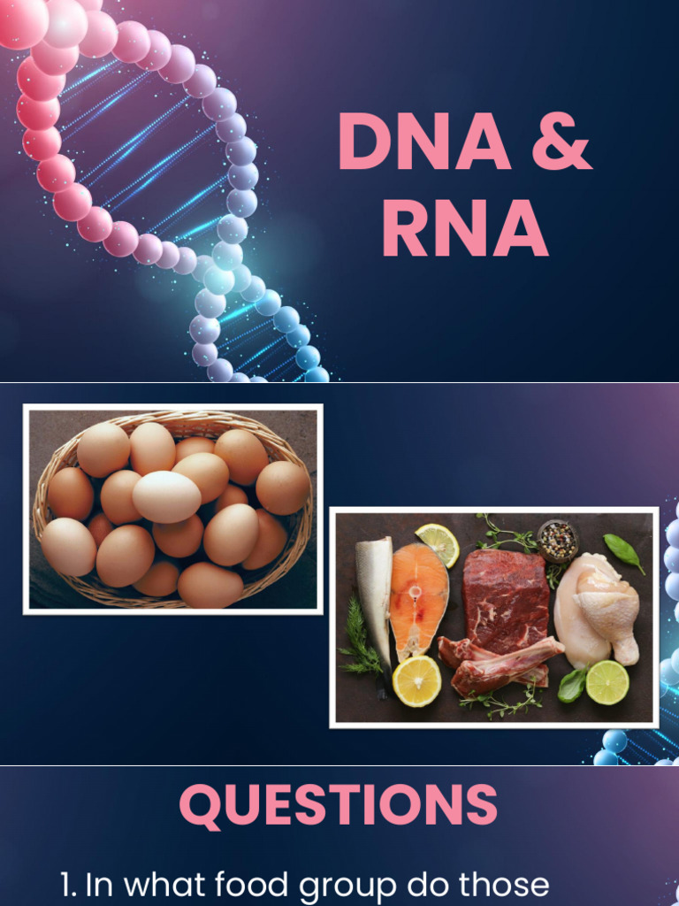 Dnarna Protein Synthesis | Download Free PDF | Translation (Biology) | Rna