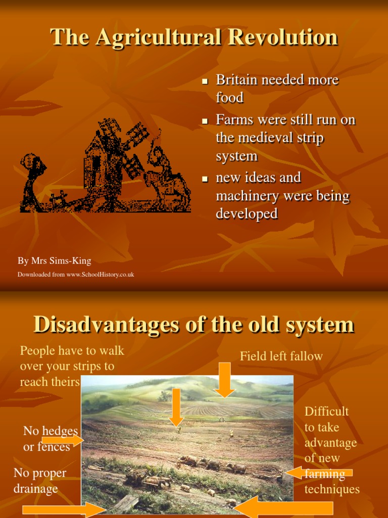 Agricultural Revolution in Britain | PDF | History