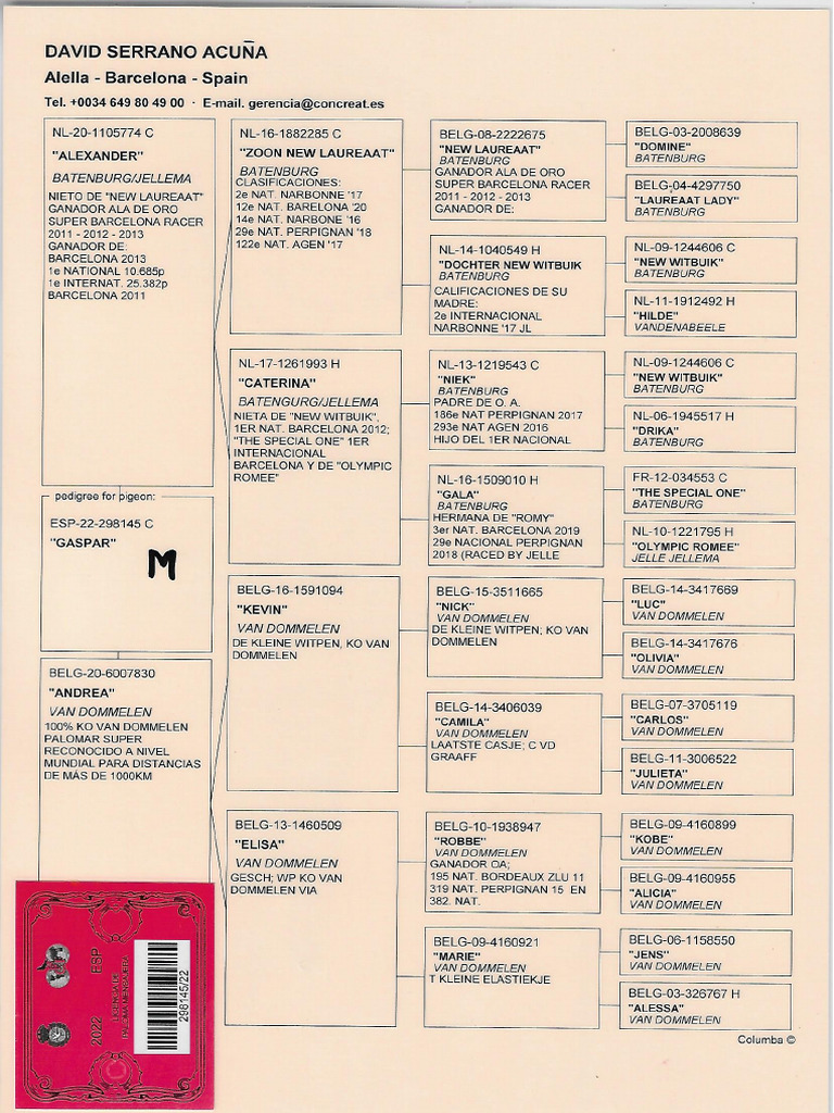 ESP-22-298145 C | PDF