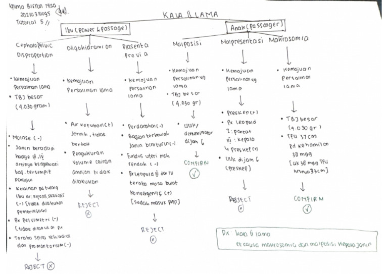Iqlima Birrun Nisa - 20210310095 - Tugas Tutorial Skenario 2 Blok 18 PDF | PDF