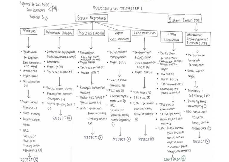 Iqlima Birrun Nisa - 20210310095 - Tugas Tutorial Skenario 1 Blok 18 PDF | PDF