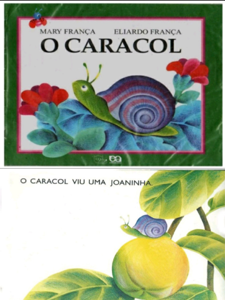 O Caracol Pdf