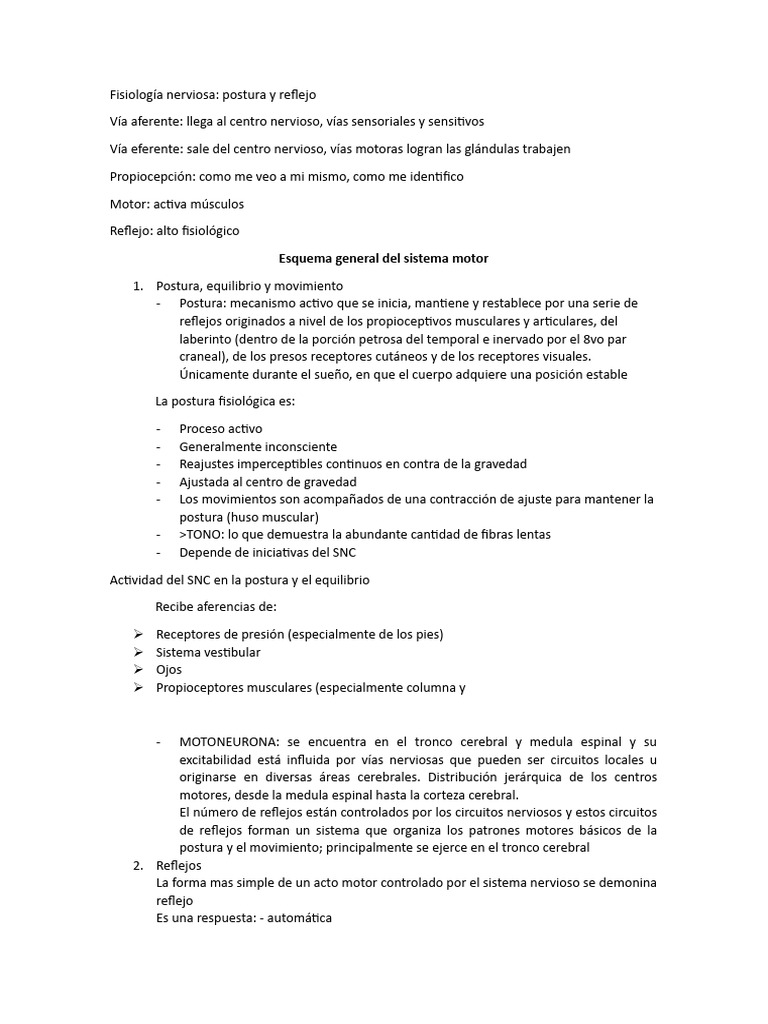 Fisio 2 | PDF | Cerebro | Músculo