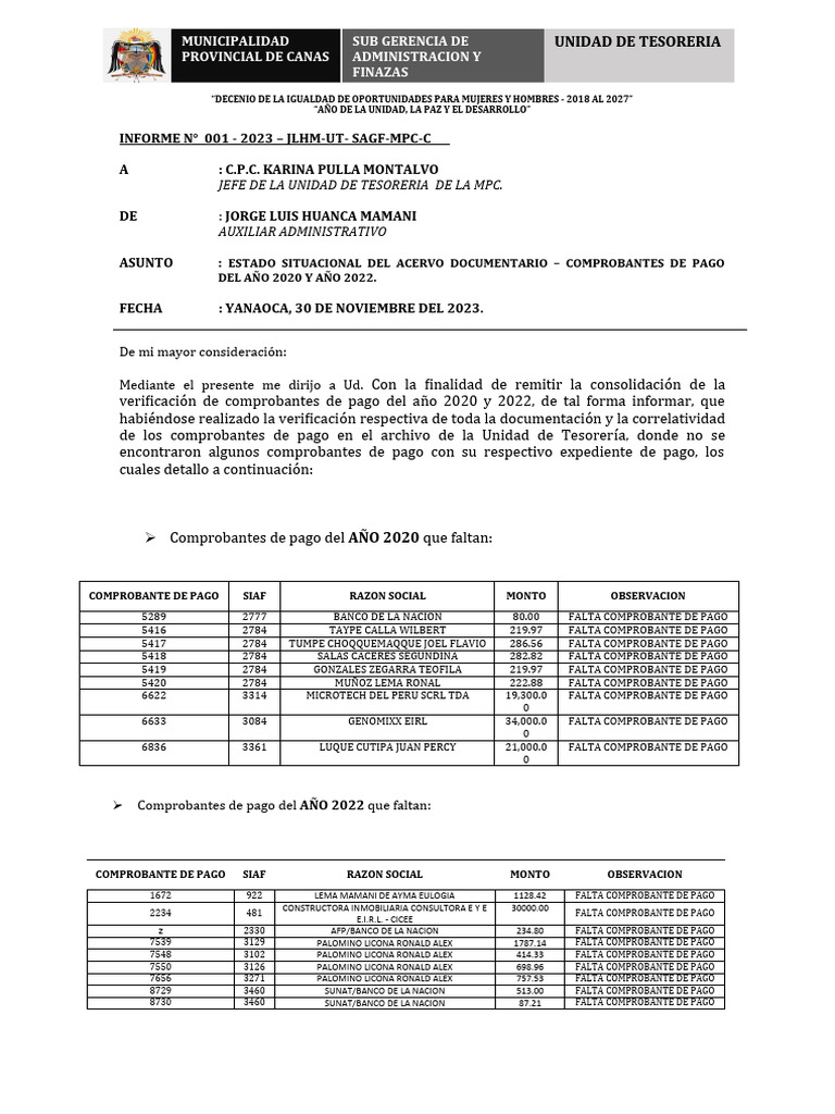 INFORME modelo | PDF