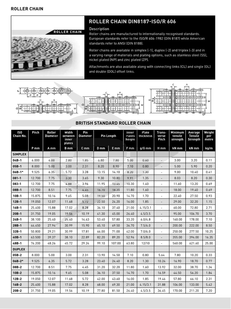 BS Roller Chain | PDF