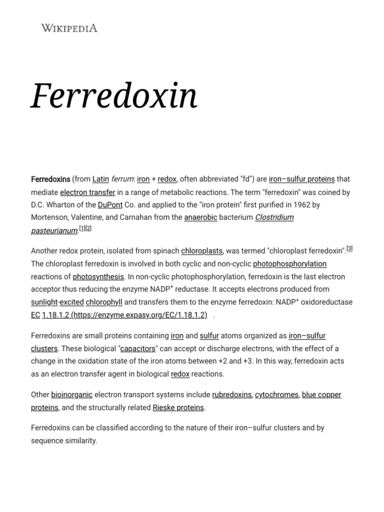 Ferredoxin - Wikipedia | PDF | Biochemistry | Chemistry