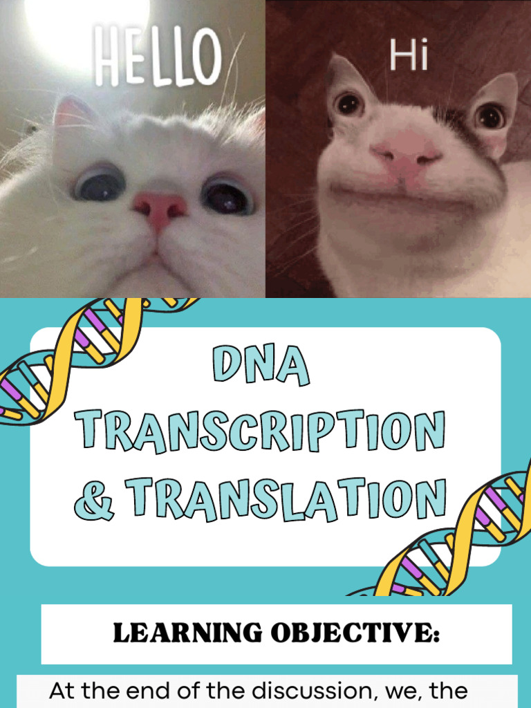 DNA Transcription and Translation Overview | PDF | Translation (Biology ...