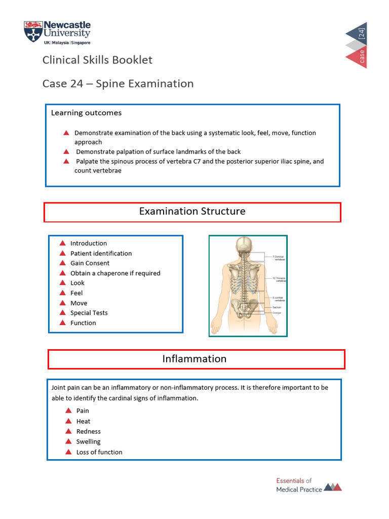 Spine Examination 2020 | PDF | Anatomical Terms Of Motion | Vertebral ...