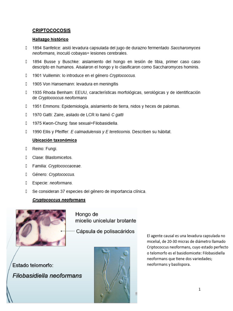 CRIPTOCOCOSIS | PDF | VIH / SIDA | Sistema inmune