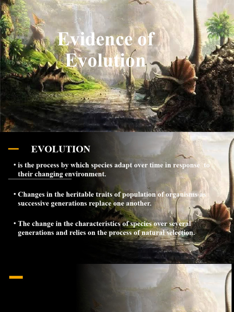 Evidence of Evolution | PDF | Mutation | Evolution