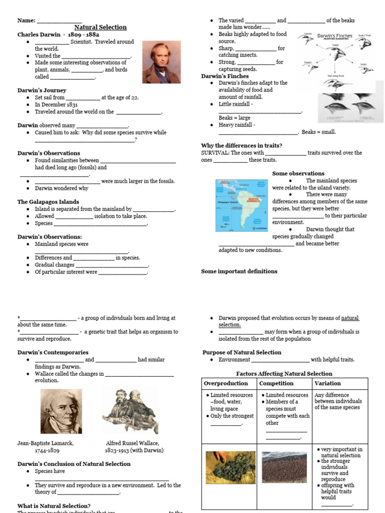 Understanding Natural Selection Basics | PDF | Natural Selection ...