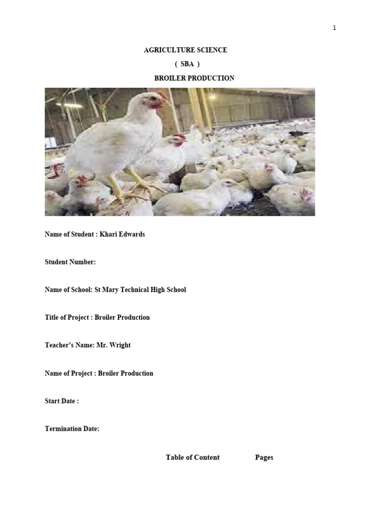 AGRI Broiler SBA.docx (1) (1) | PDF | Broiler | Chicken