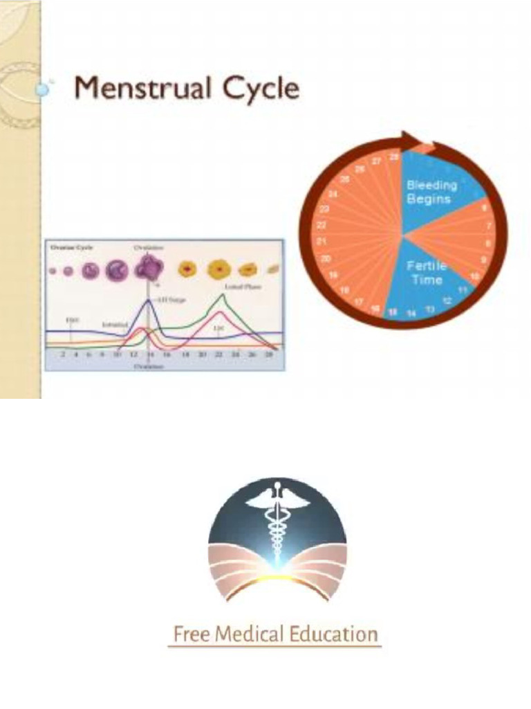 Sciene G 10 Menstrual Cycle WPS Office - PPTX DEmo Snhs | PDF | Social ...
