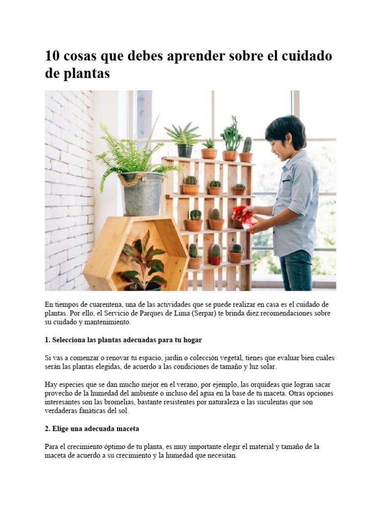 10 Cosas Que Debes Aprender Sobre El Cuidado de Plantas | PDF 10 Cosas Que Debes Aprender Sobre El Cuidado de Plantas | PDF