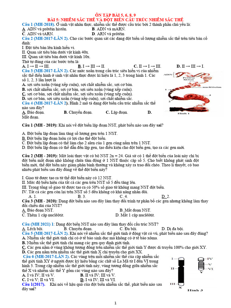 DA - ÔN TẬP B5,6,8,9 | PDF