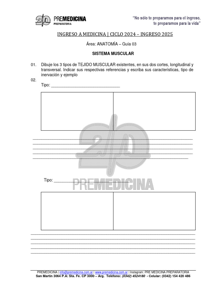 Guia 03 Anatomía 2024 2025 Descargar Gratis Pdf Músculo Sistema