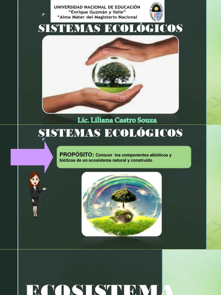Semana 2. SISTEMAS ECOLÓGICOS | PDF | Ecosistema | Clima