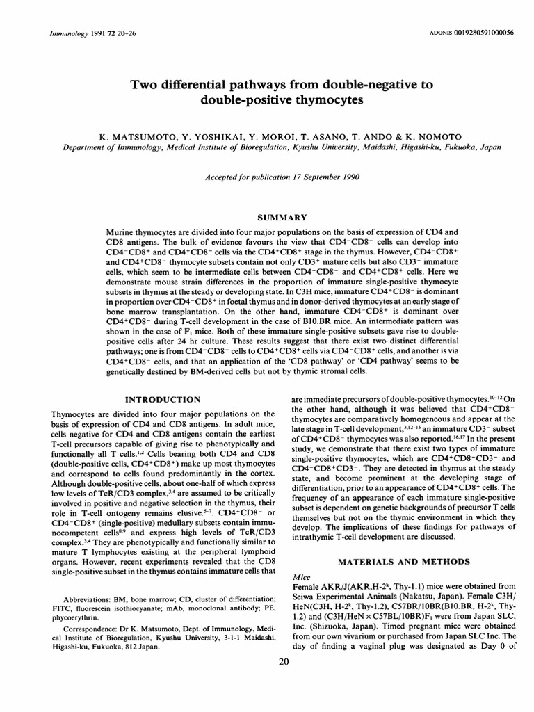 Immunology00120 0028 | PDF | T Cell | Thymus