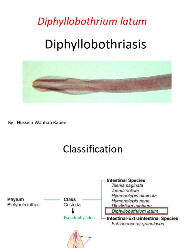 Diphyllobothrium latum | PDF | Microbiology | Medical Specialties