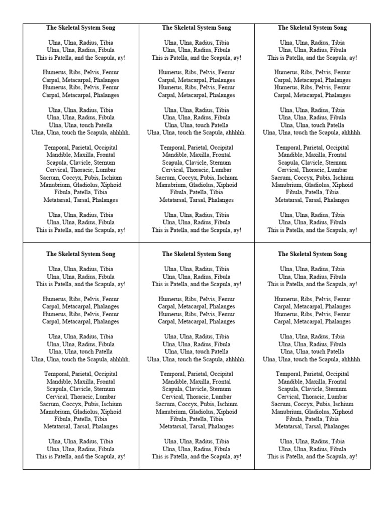 The Skeletal System Song | PDF | Pelvis | Anatomy