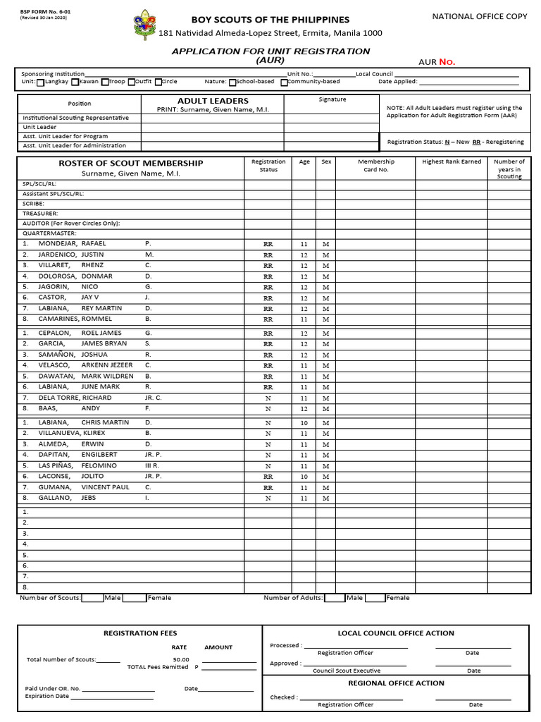 AUR-form BOYSCOUT 2024-2025 | PDF | Girl Guiding And Girl Scouting | Patriotic And National ...