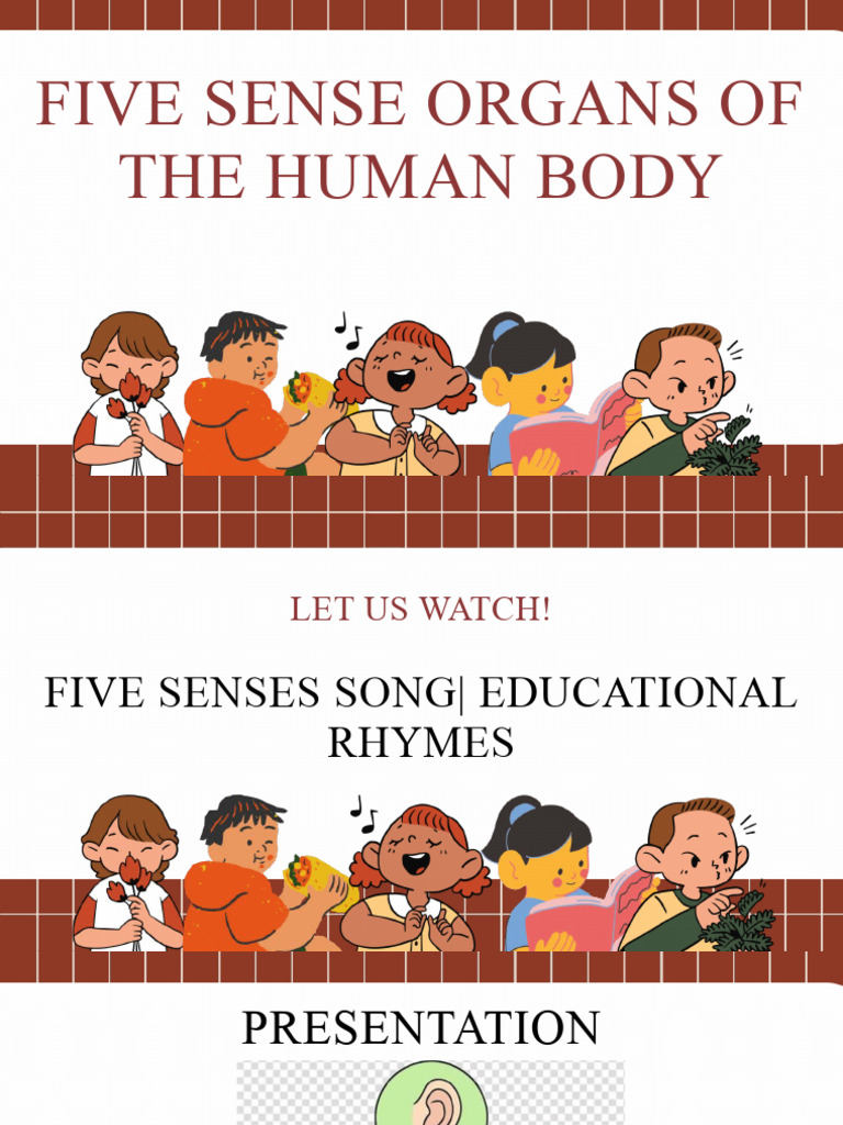 Sense Organs | PDF | Senses | Neuroscience