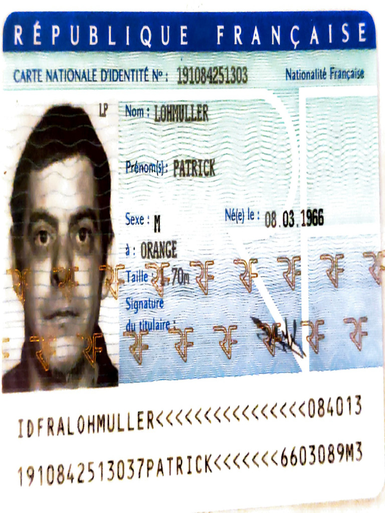 Lohmuller Document | PDF