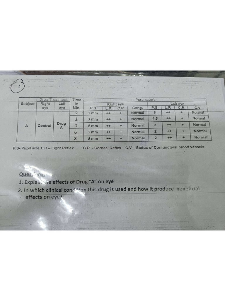 Rabbit Eye Experiment | PDF