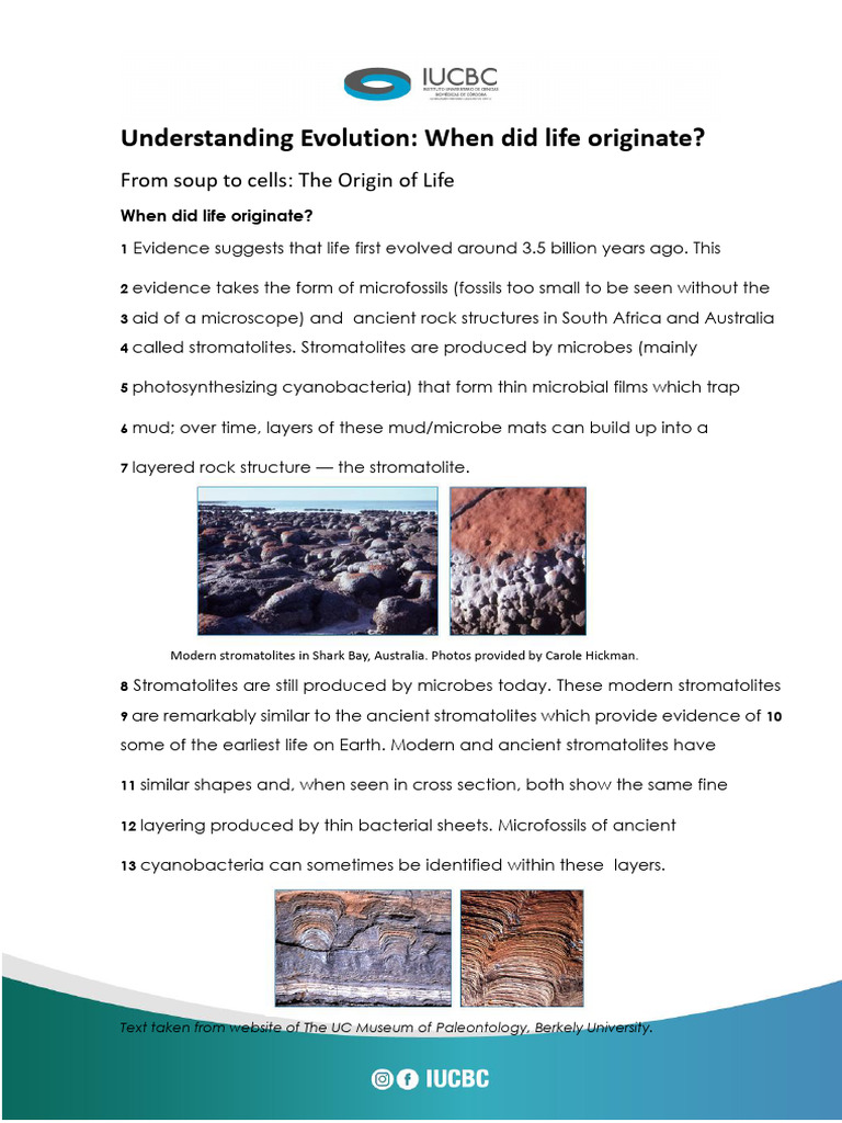 Origin of Life: Evidence from Stromatolites | PDF | Fossil | Microorganism