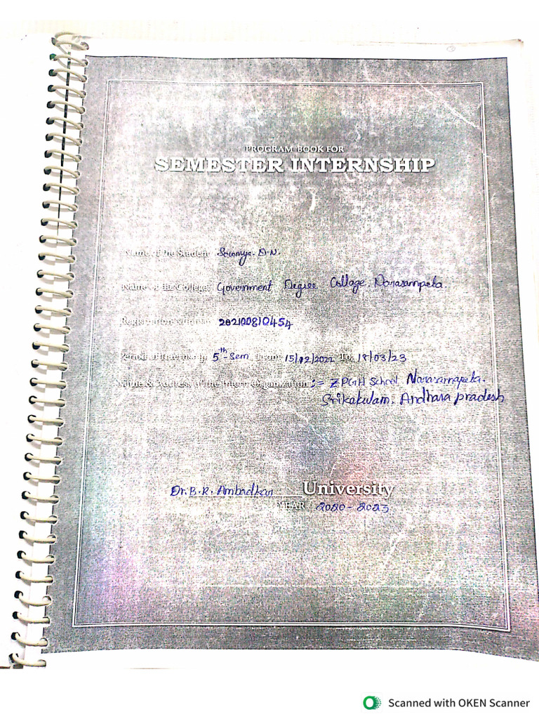 Education Department Long Term Internship Record | PDF