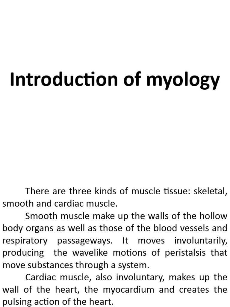 Anatomy Of Muscles Lecture Download Free Pdf Vertebra Soft Tissue