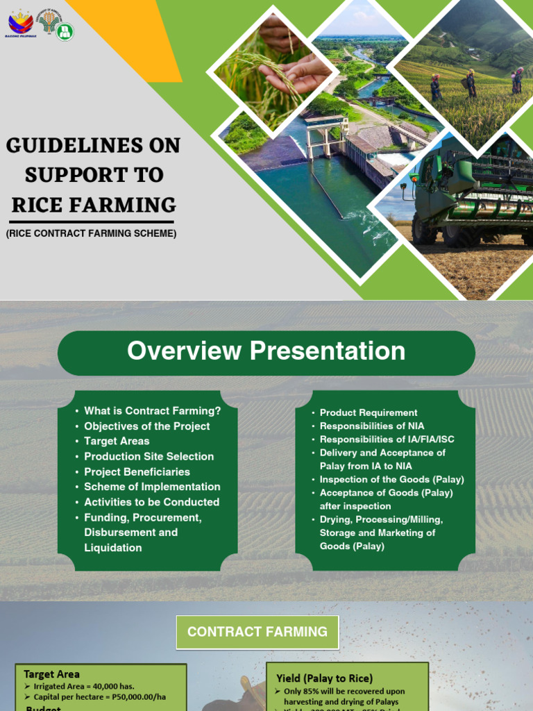 CONTRACT-FARMING Mar19 | PDF | Agriculture | Rice