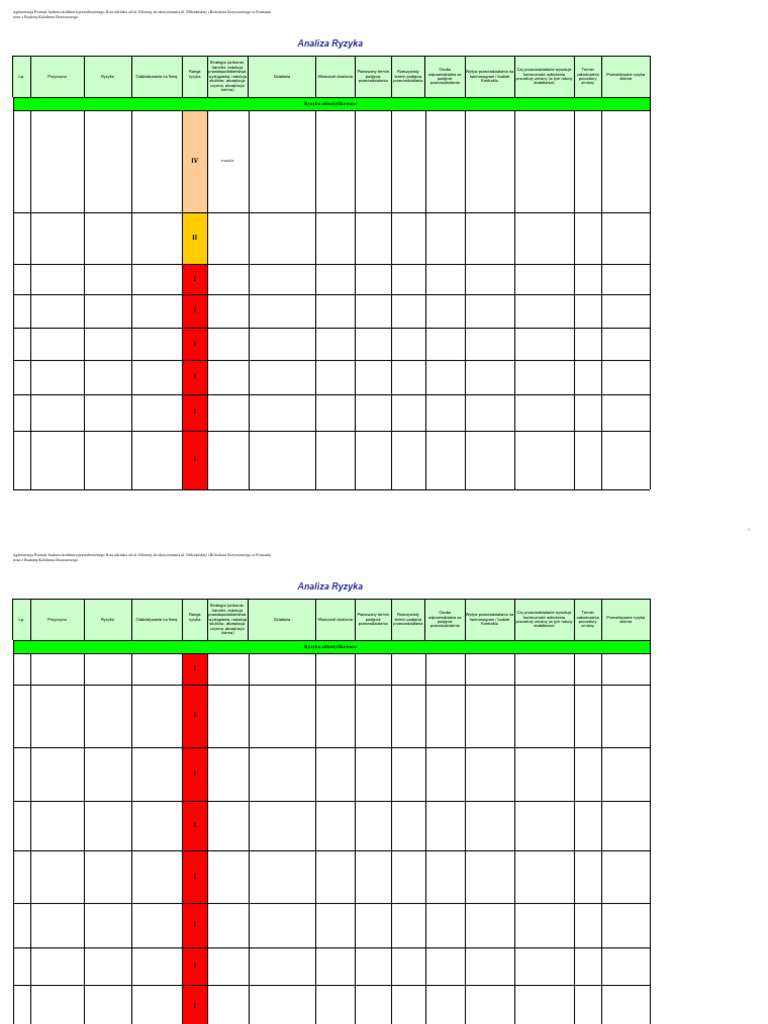 Analiza Ryzyka | PDF