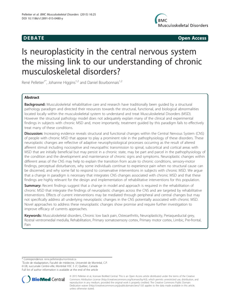 Is Neuroplasticity in The Central Nervous System | Download Free PDF ...
