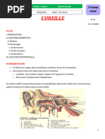 Anat Physio ORL | PDF | Oreille | Système vestibulaire