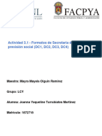 DC1 STPS Formato Word Editable | PDF