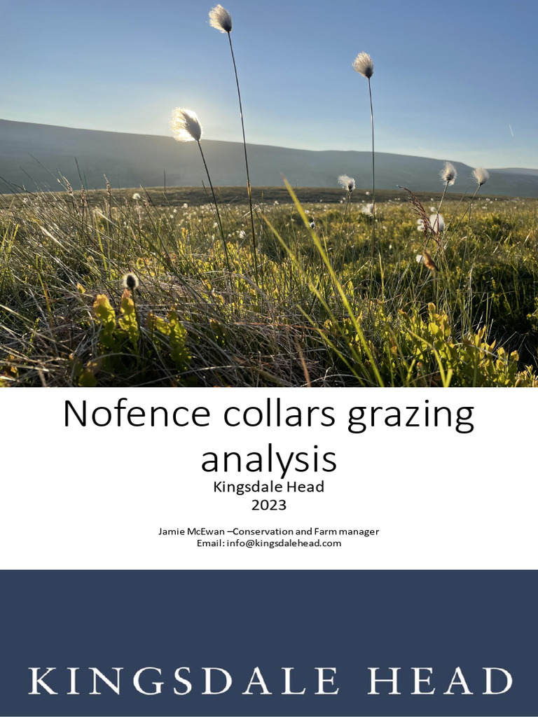 No Fence Collars: Analysis 2023 | PDF | Grazing | Cattle