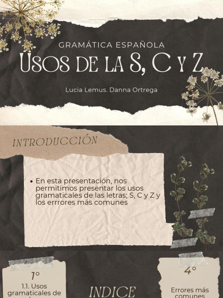 Usos de La s, c y z | PDF | Lingüística | Gramática