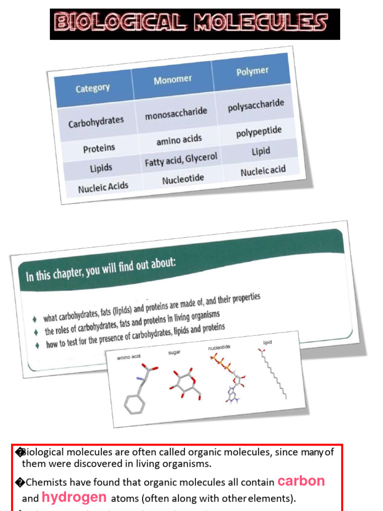 Biologicalmolecules Grade 10 Igcse | PDF | Carbohydrates | Glucose