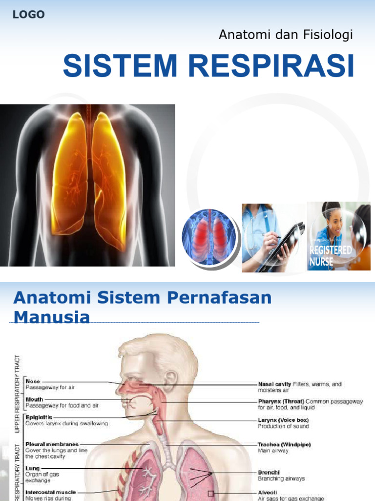 Anfis Sistem Respirasi | PDF
