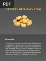 Bitone Projecto Batata Reno1 | PDF | Batata | Agricultura