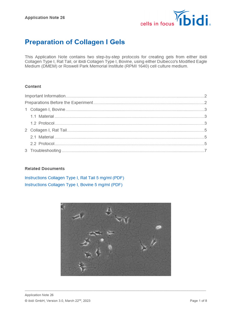 Hydrogel Protocol - Ibidi | PDF | Extracellular Matrix | Gelatin