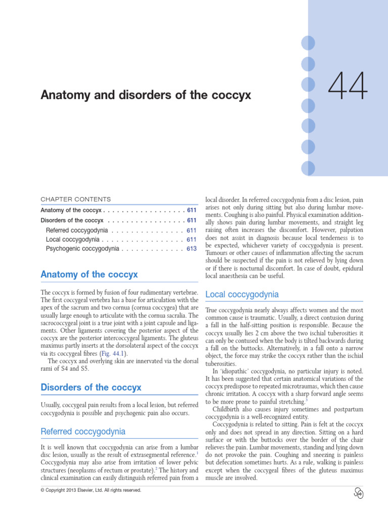Anatomy And Disorders Of The Coccyx Pdf Pelvis Clinical Medicine