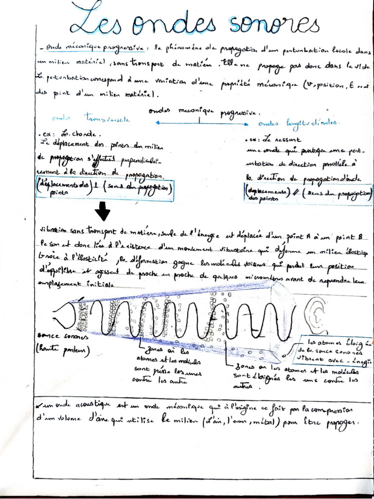 Résumé Biophysique | PDF