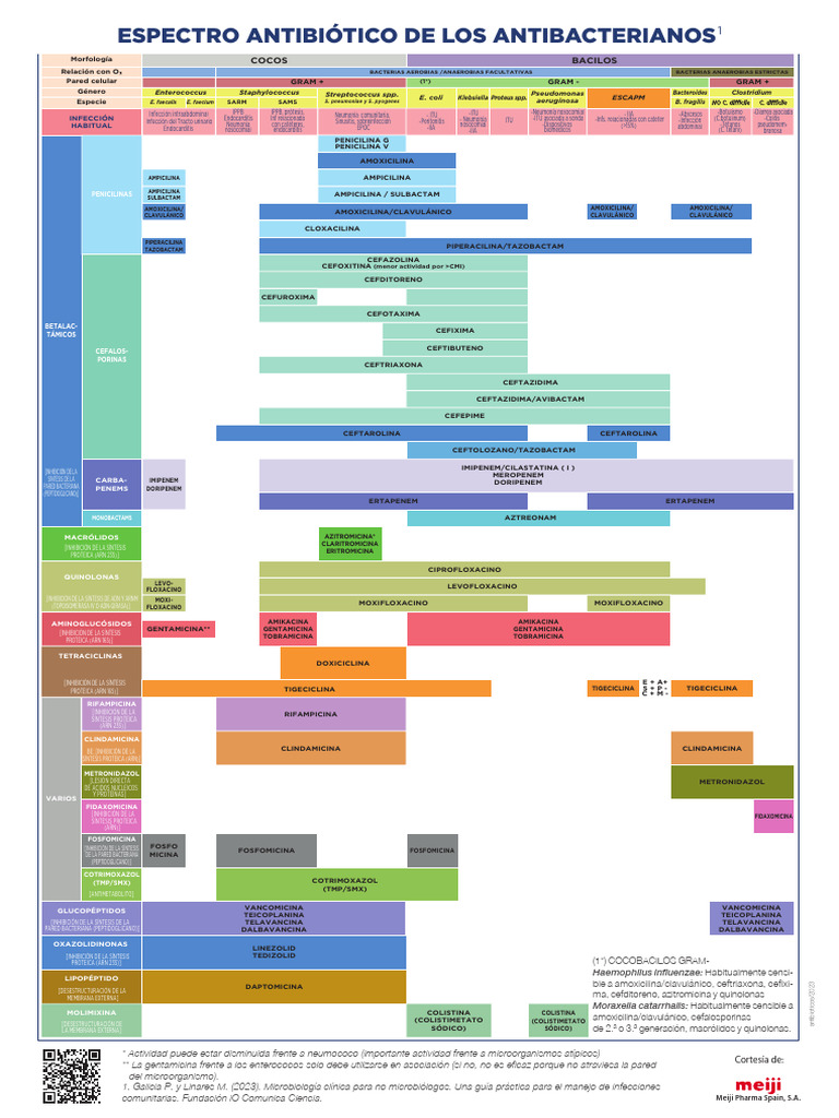 Espectro Antibioticos | PDF | Penicilina | Microbiología