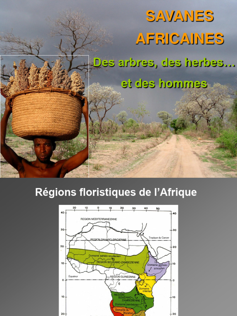 Document 560010 | PDF