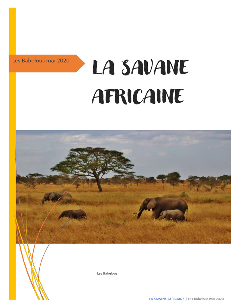 La Savane Dafrique Livret | PDF