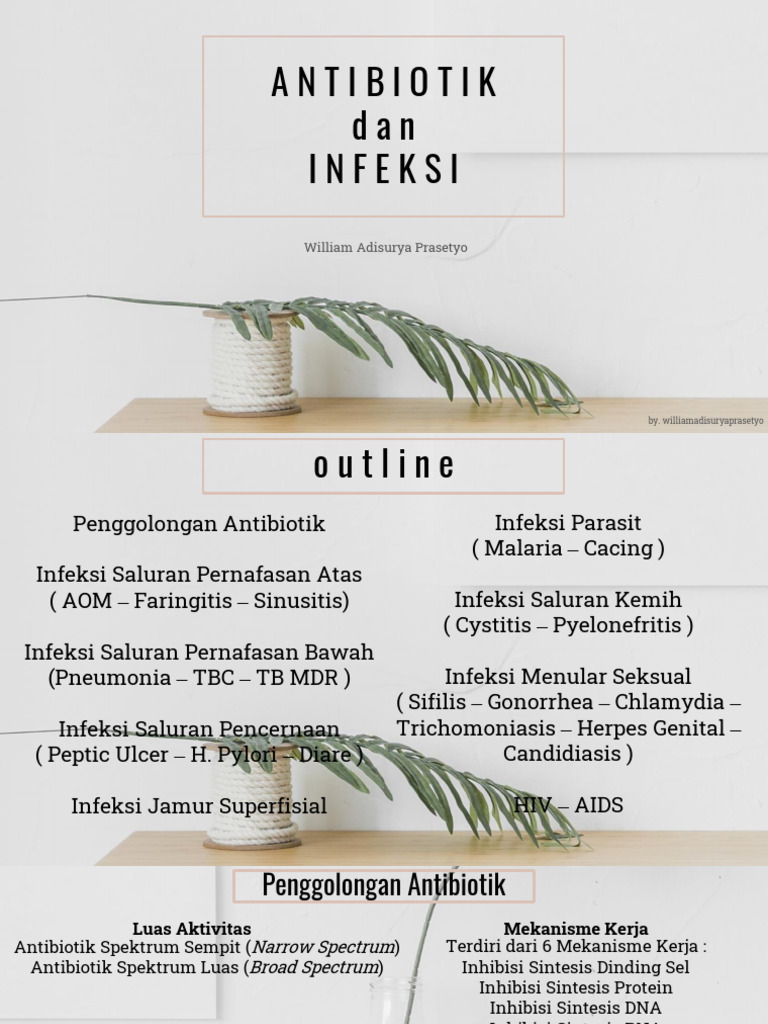 II. PPT Antibiotik Dan Infeksi | PDF