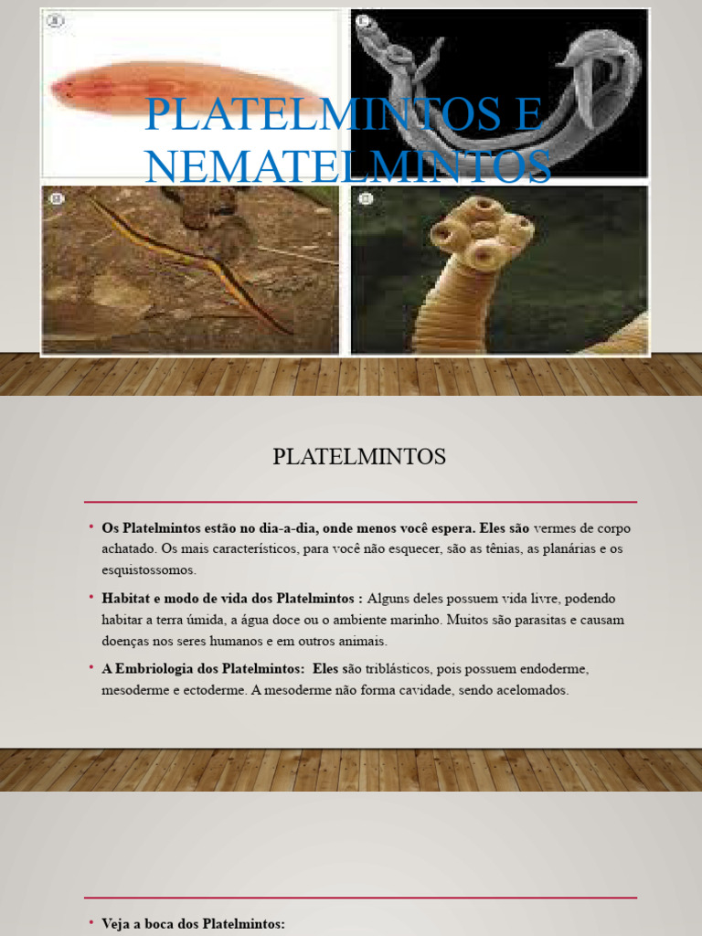 Platelmintos e Nematelmintos | PDF | Nematoda | Corpo humano