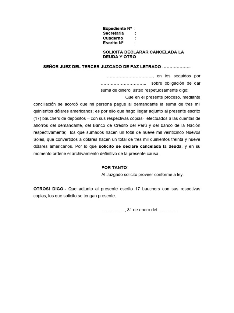Declarar Cancelada La Deuda | PDF